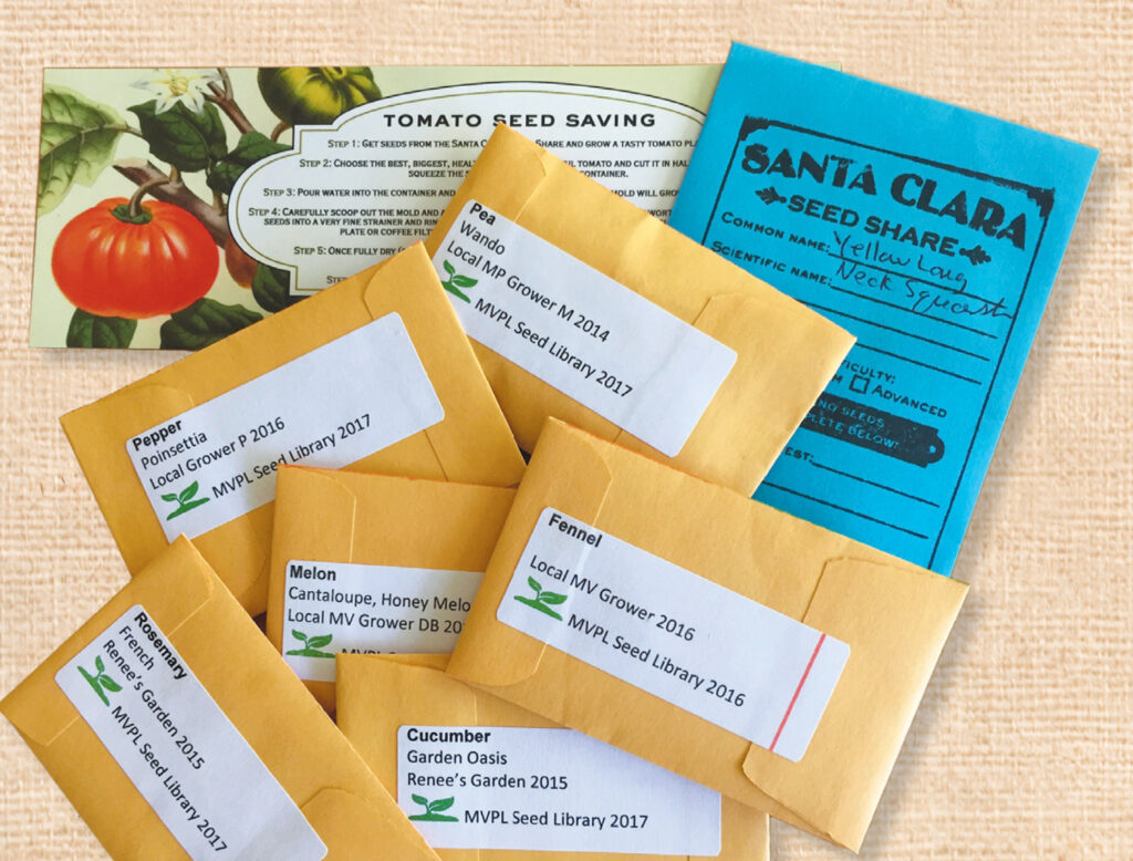 Check Out Seed Libraries