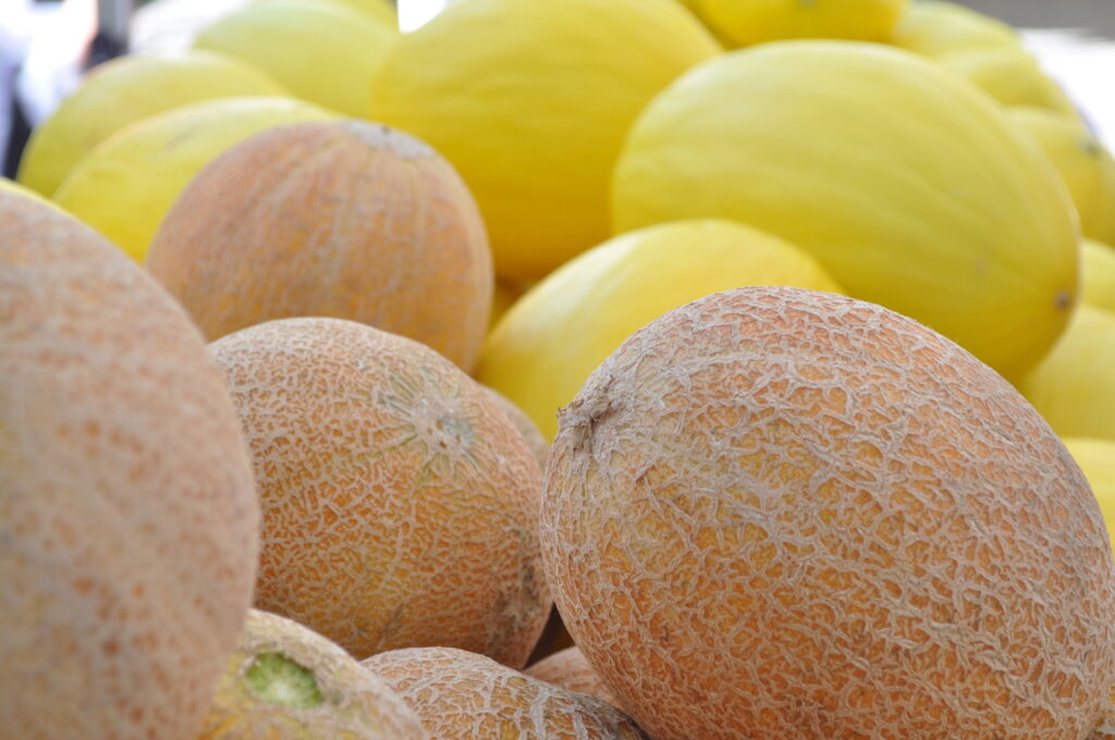 Choosing The Right Summer Melon