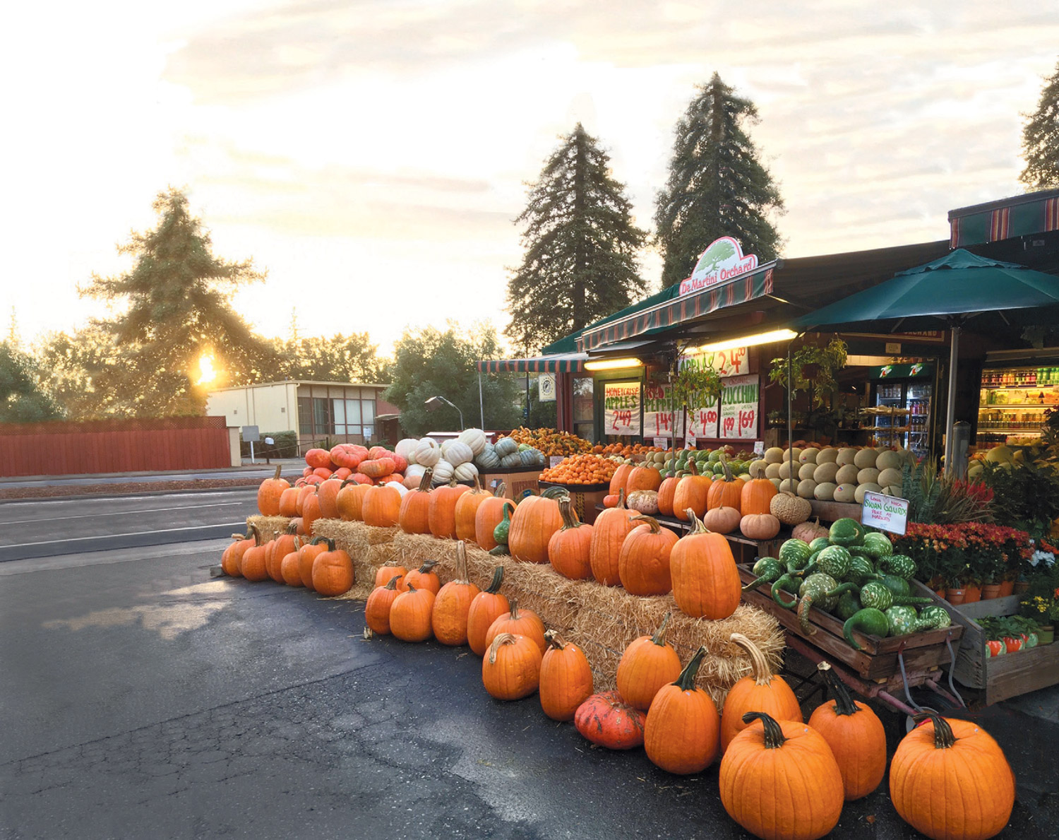 DeMartini Orchard Stands as Testament to Local Farm Stands and Knowing ...