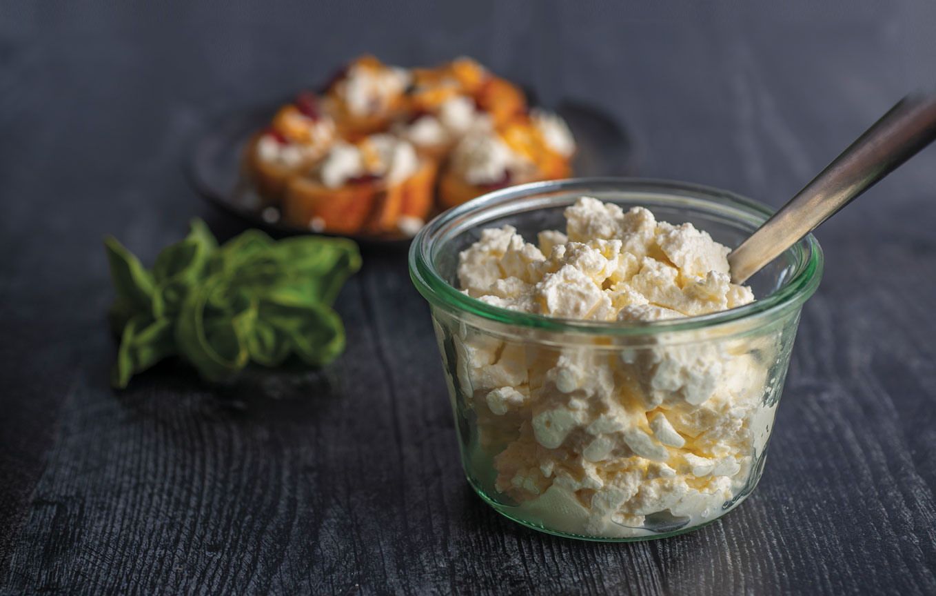 Crumbly Curd Cheese