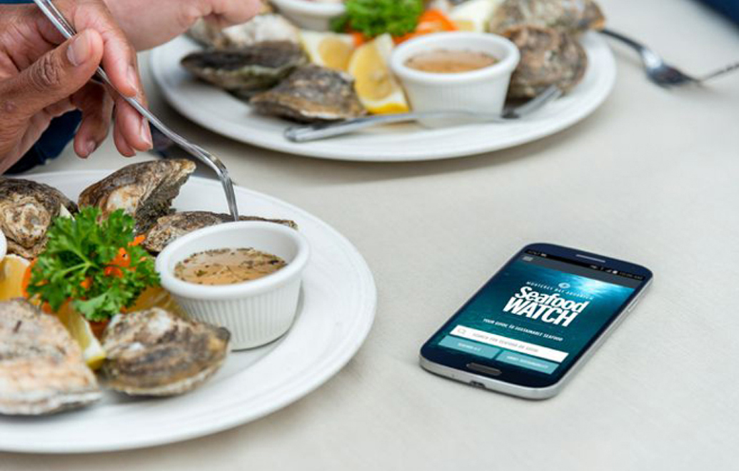 Seafood Watch 2020: Making Sustainable Seafood Choices