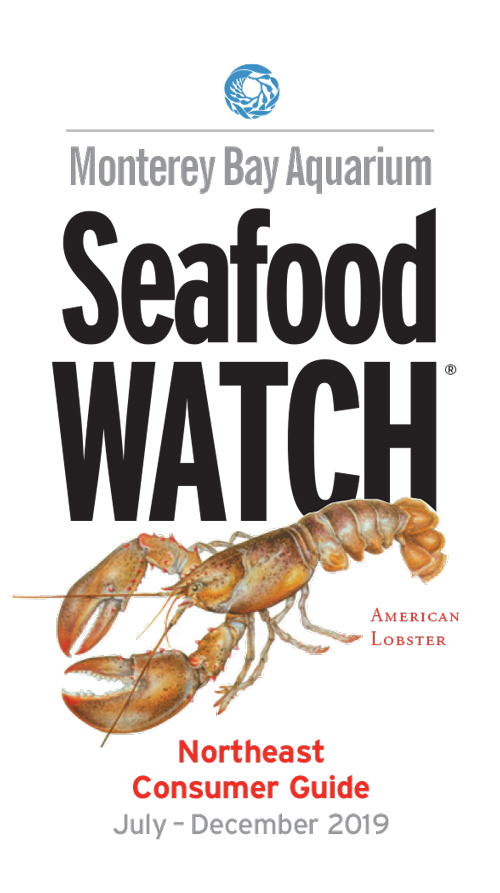 Seafood Watch 2020: Making Sustainable Seafood Choices