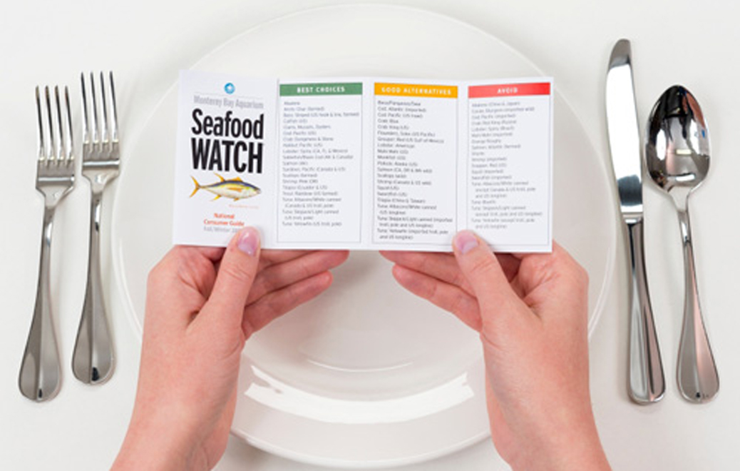 Local and Sustainable Seafood Watch Choices from California Waters