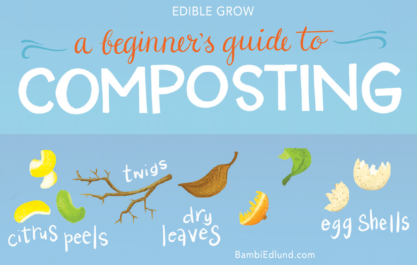 Edible Grow : Guide to Composting - Infographic