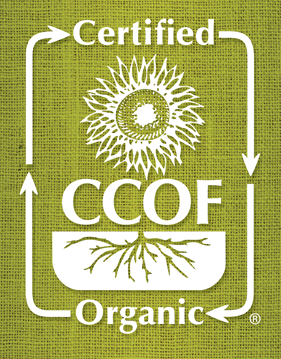 Eco-conscious Wine Certifications Reference Guide
